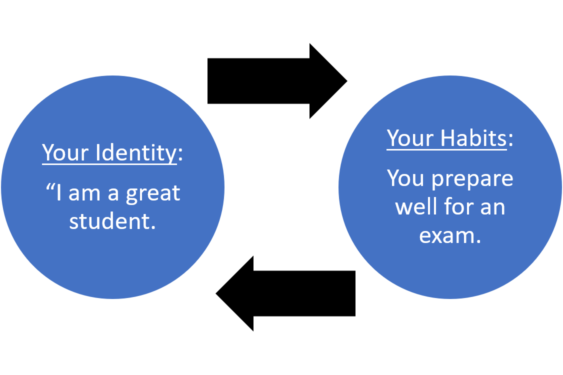 The Identity Habits Cycle: How Your Identity and Habits Influence Each ...